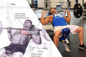 Voador/Peck Deck (Fly): Execução Correta e Músculos Trabalhados