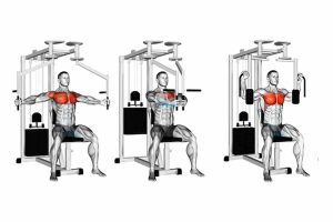 Supino Inclinado: Execução Certa para Desenvolver o Peitoral Superior