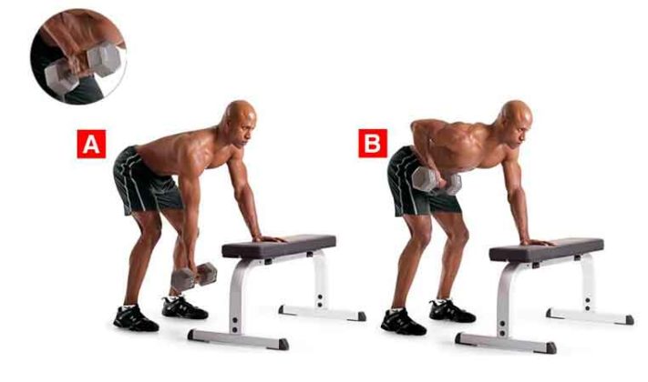 Treino de Costas Com Halteres: Treine em Casa ou na Academia!