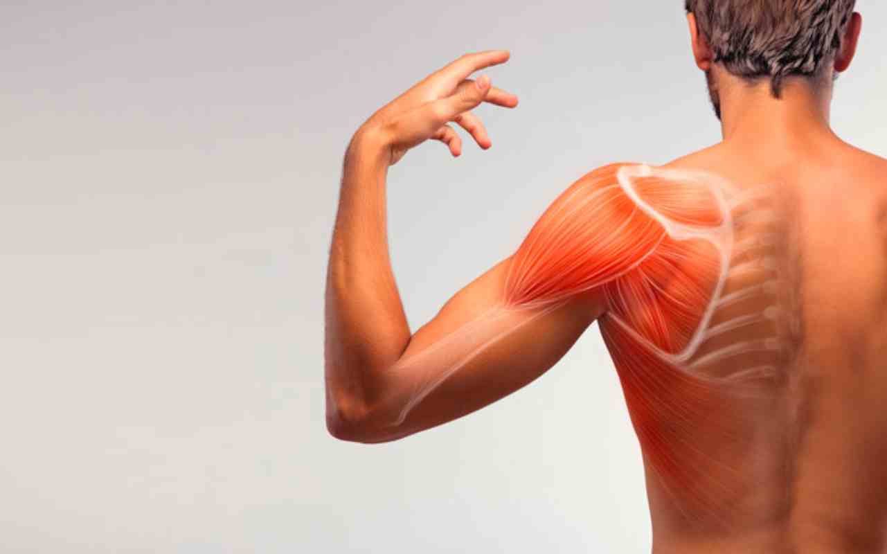 Como Alongar os Ombros? 7 Melhores Exercícios Para Destravá-los!